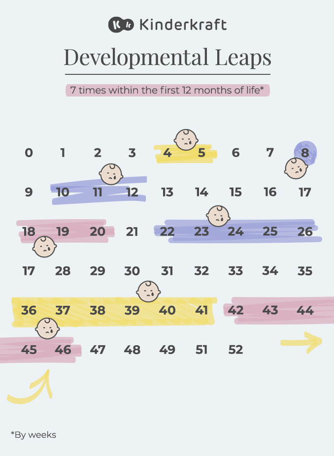 Baby's developmental leaps